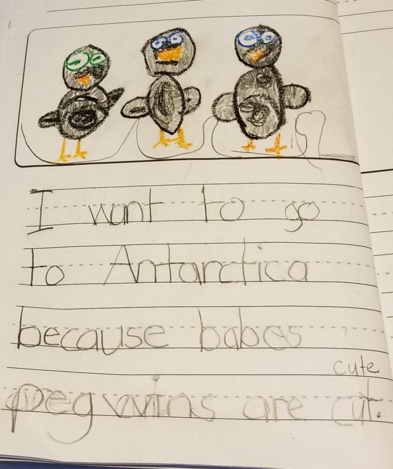 Would you go to Antarctica? | St Stephen School