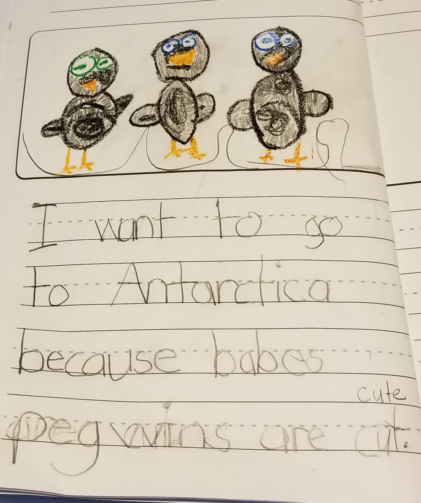 Would you go to Antarctica? | St Stephen School