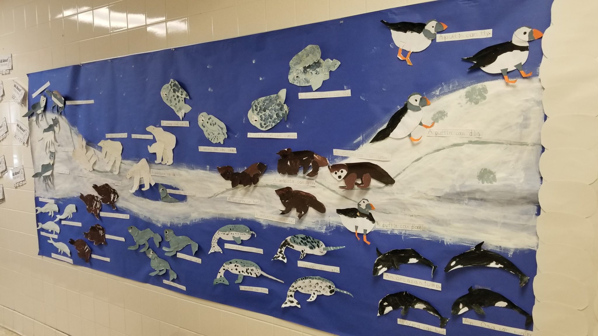 Arctic Animals | St Stephen School