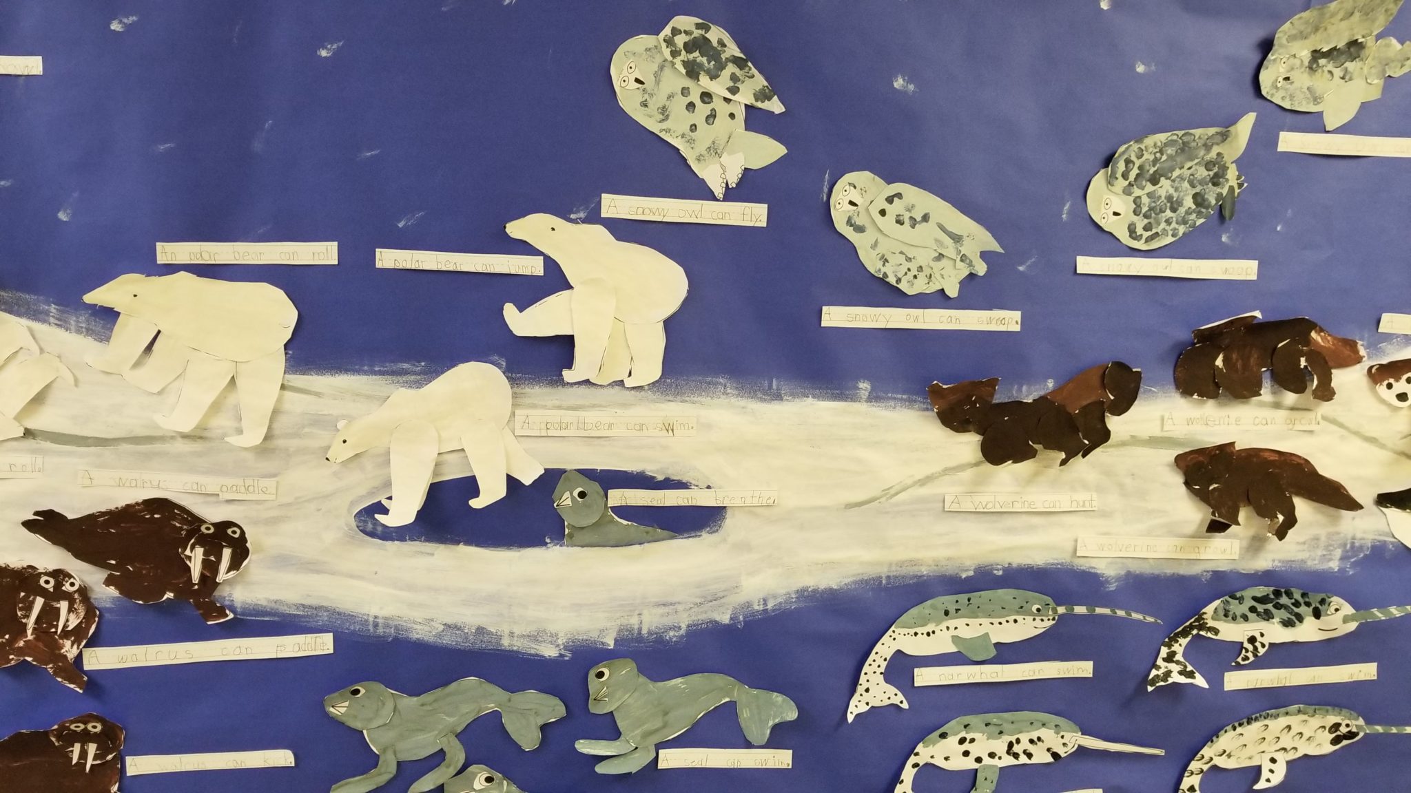 Arctic Animals | St Stephen School