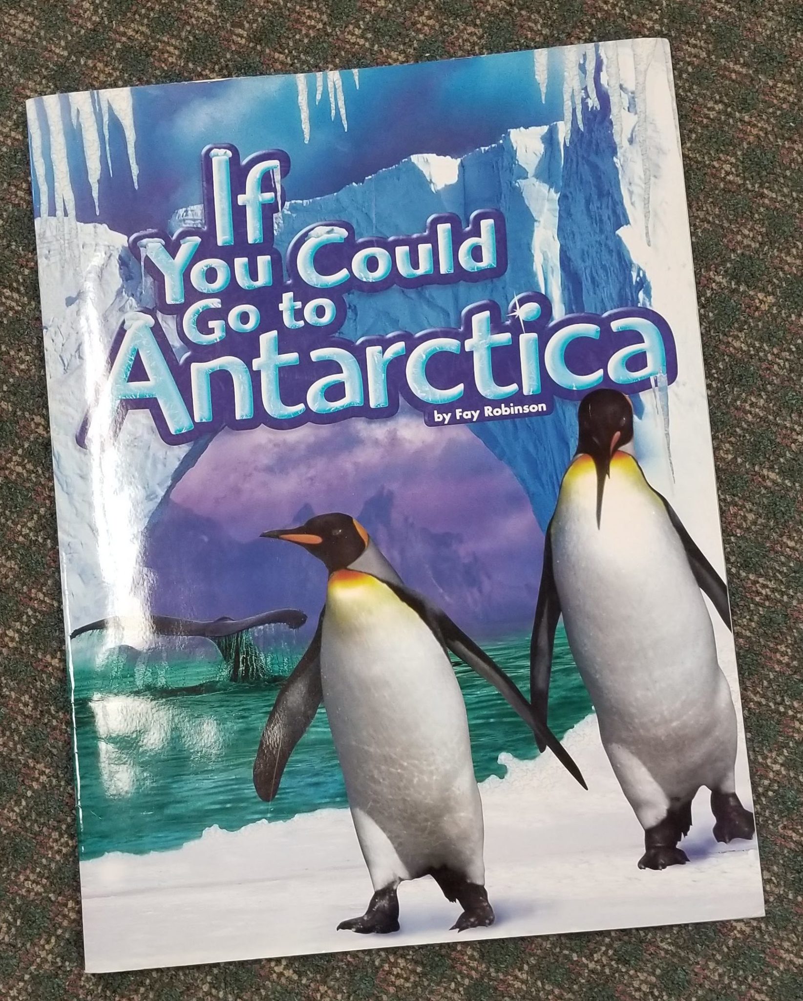 Would you go to Antarctica? | St Stephen School