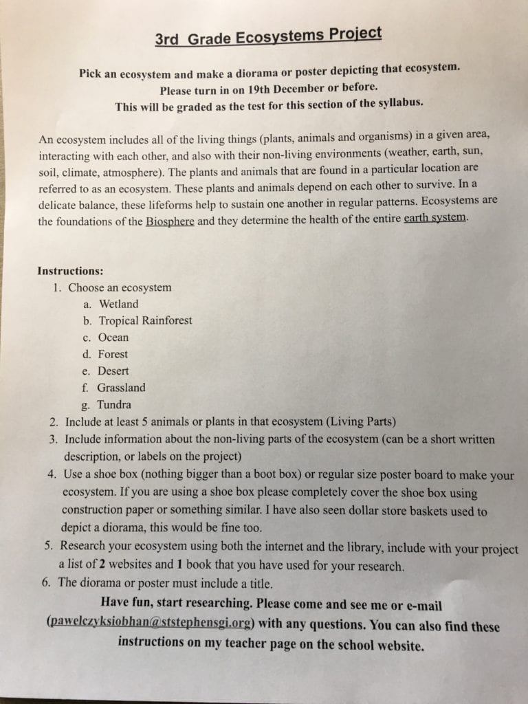 3rd Grade Ecosystem Project | St Stephen School