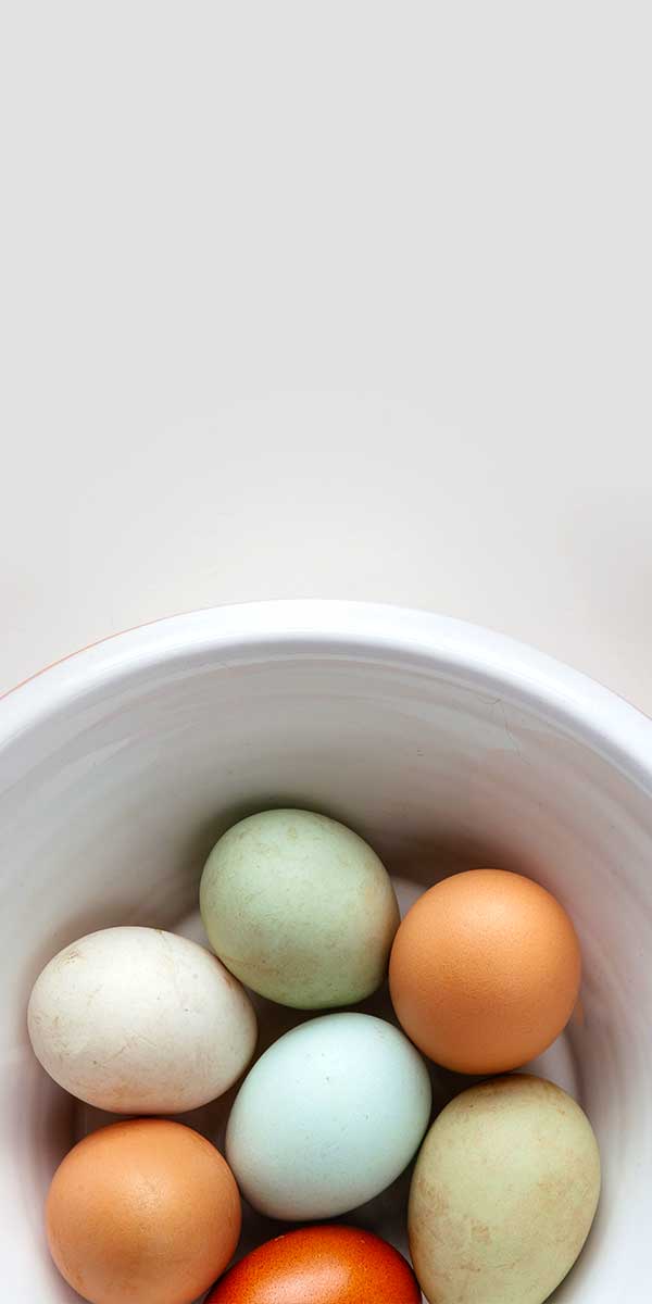 eggs | St Stephen School