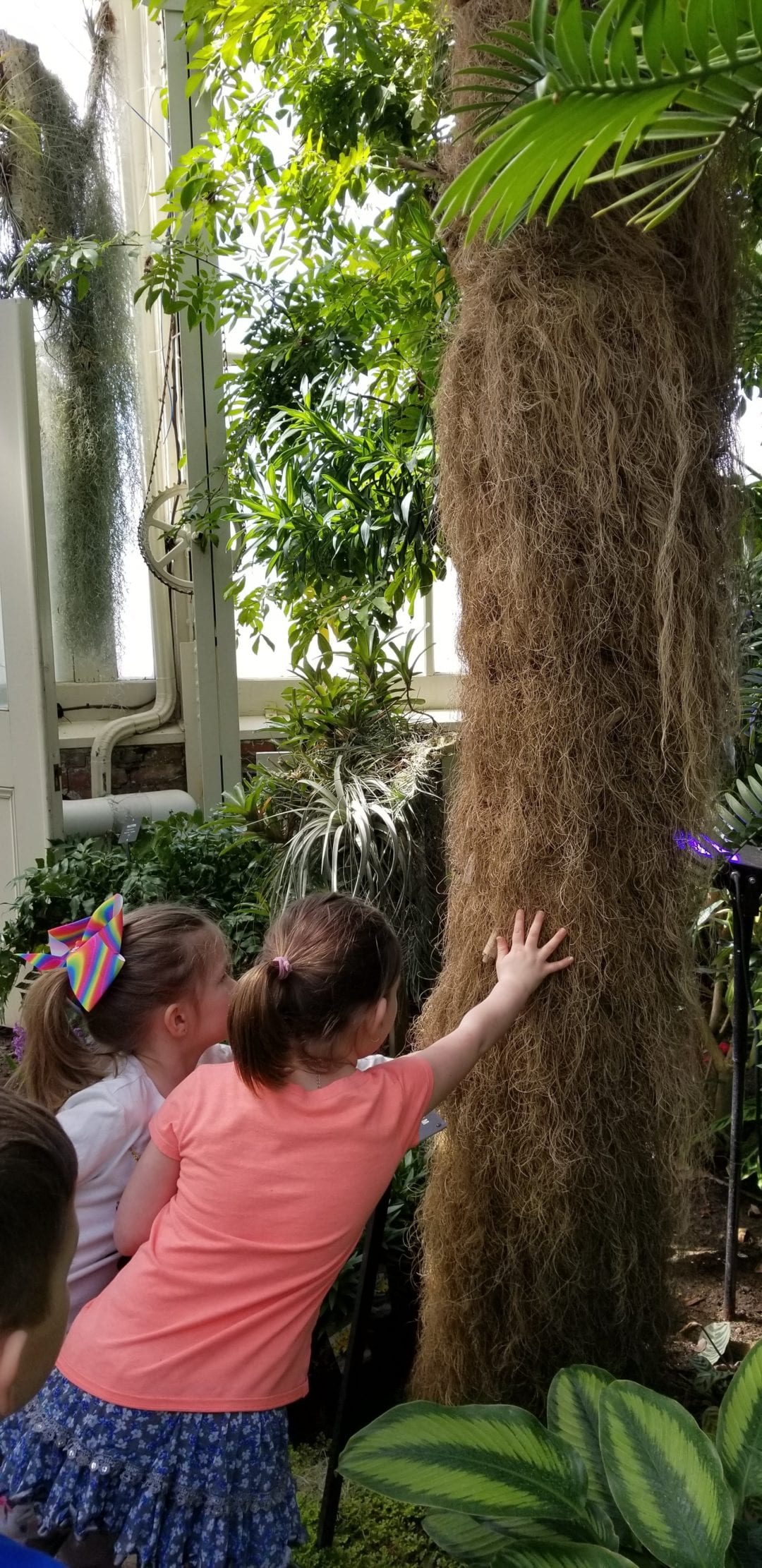 Botanical Gardens Field Trip | St Stephen School